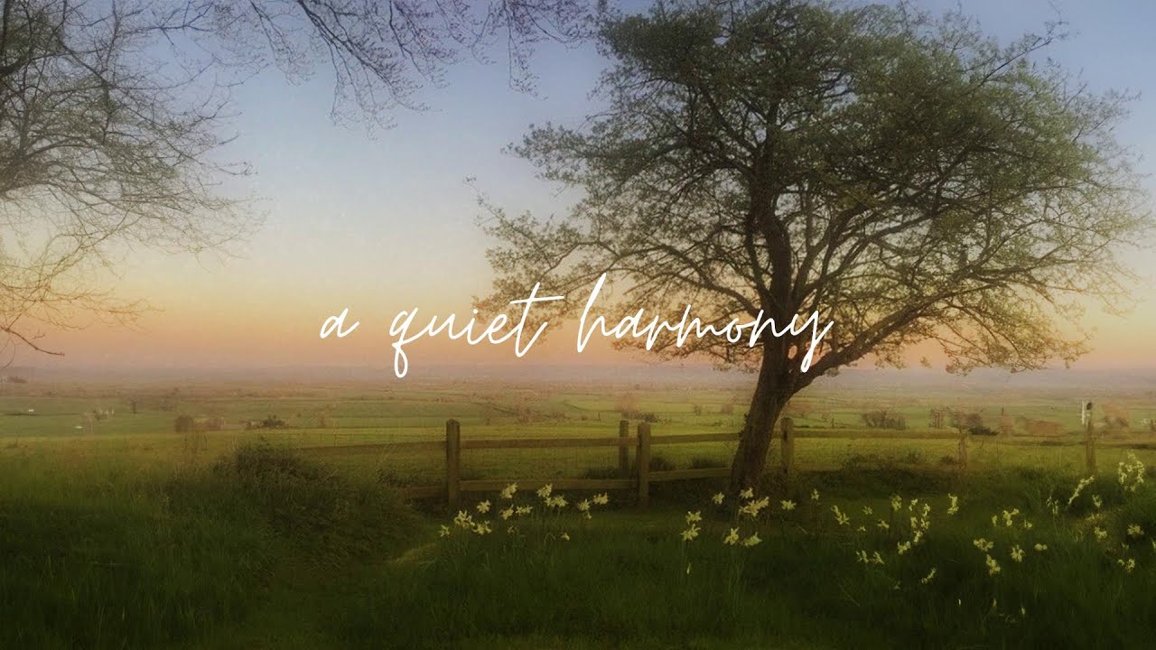 a calm playlist for journaling under the trees - YouTube