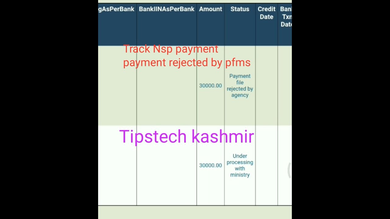 Track Nsp payment/Payment rejected by pfms - YouTube