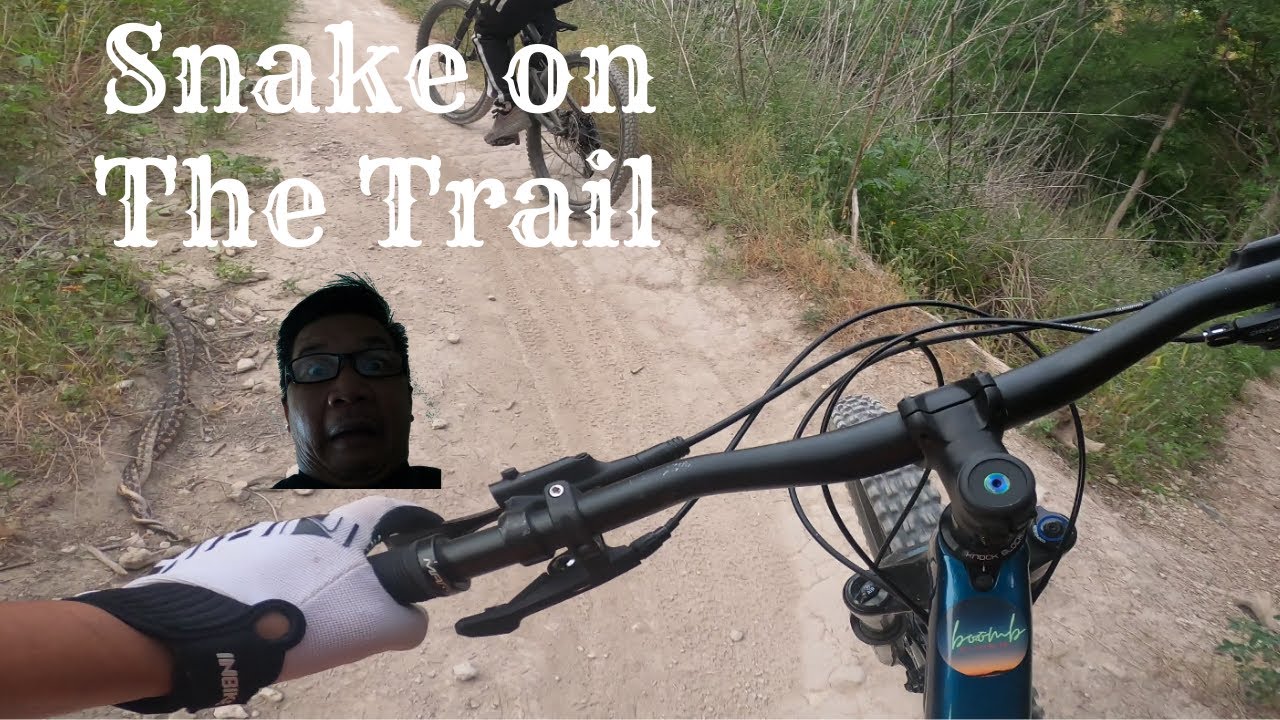 #shorts | Snake Near by | Walnut Creek Austin Texas | Bo on Mountain ...