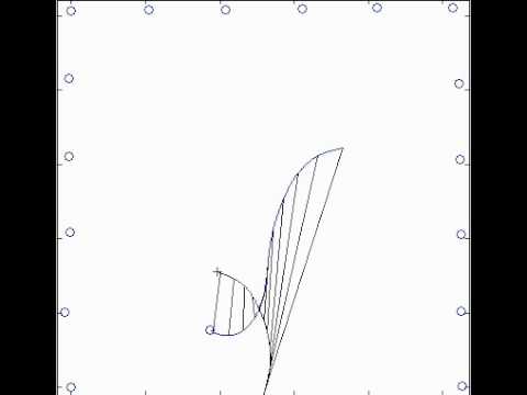 Bat chasing flying insect - YouTube