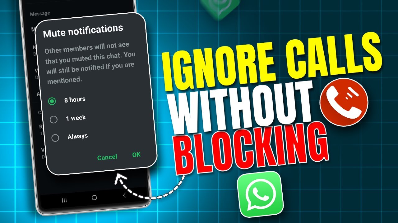 How to Ignore Calls Without Blocking on WhatsApp | Silence WhatsApp ...