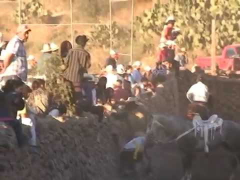 49 - Lo Mejor de Los Coleaderos - Col. Modelo, Fresnillo - YouTube