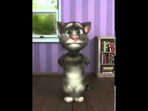 El Gato Tom Dicen Que Hablo Malas Palabras