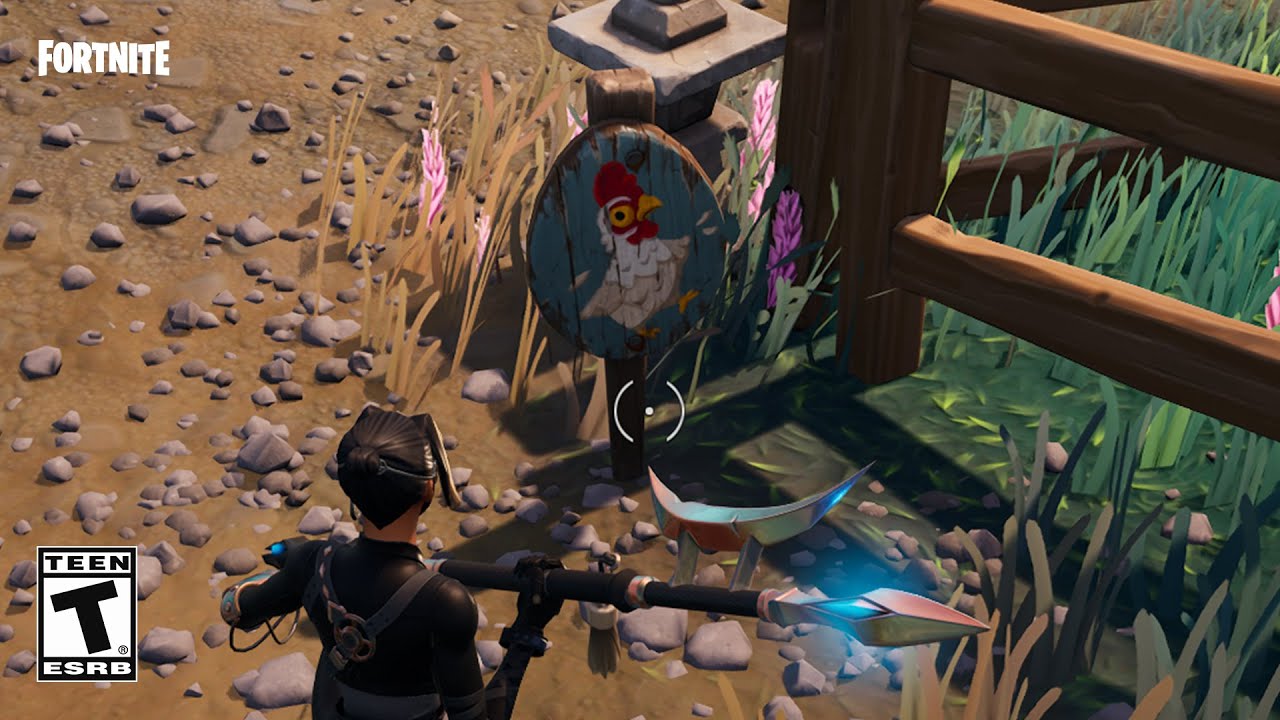 PLACER DES PANNEAUX TRAVERSÉE DE POULES À FRENZY FIELDS OU KENJUTSU ...