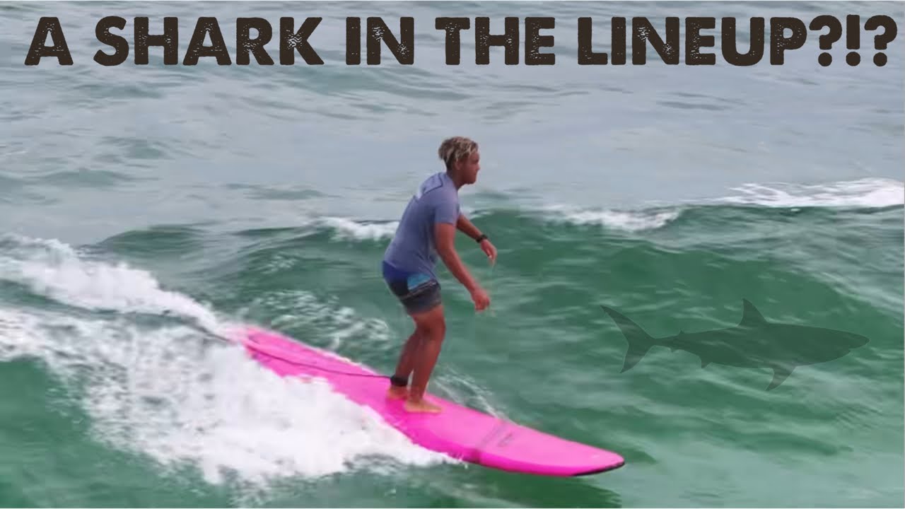 Fun Evening Surf Session With a Shark?!?! Surfing Fort Walton Beach ...
