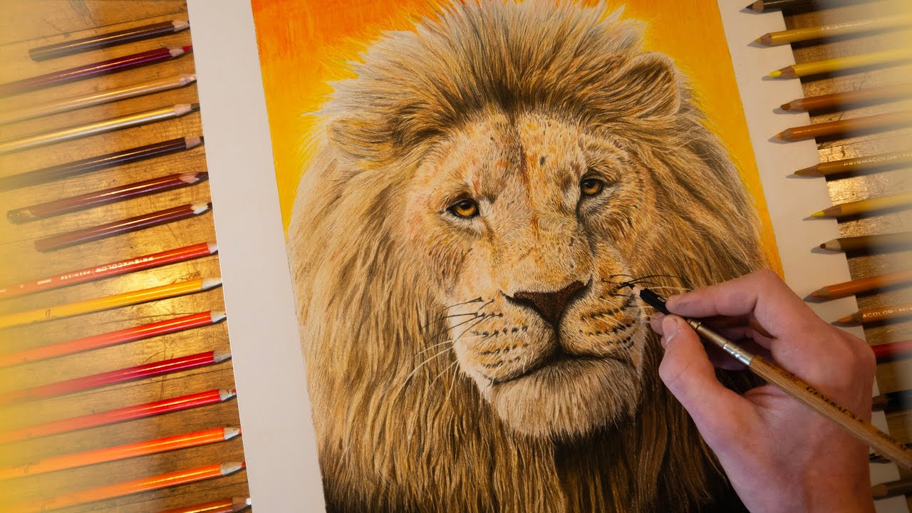 I Drew REALISTIC Mufasa with COLORED PENCILS! - YouTube