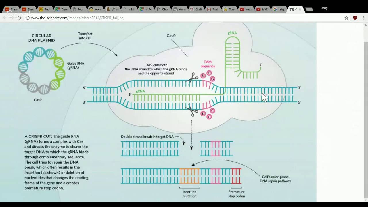 Is 666 Coded in our DNA? The Awakening Report - YouTube