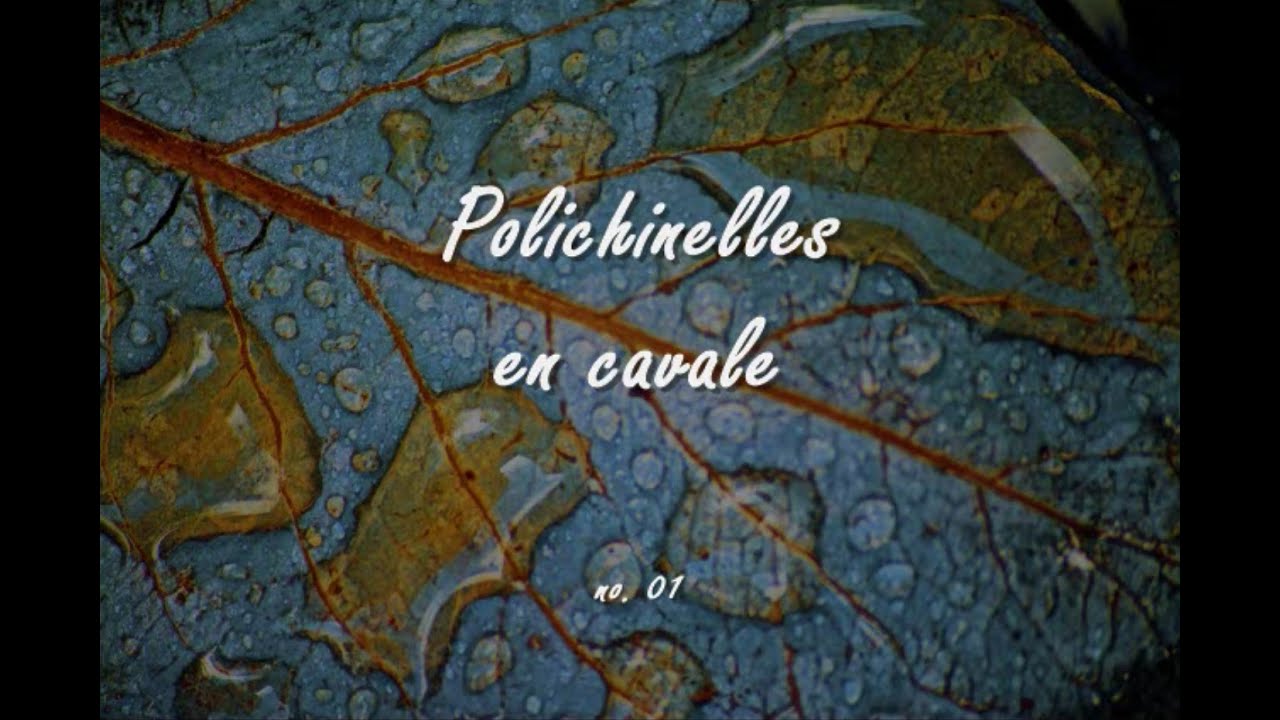 Polichinelles en cavale - YouTube
