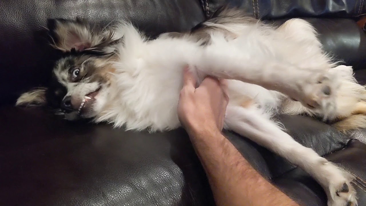 Sticky Legs - YouTube