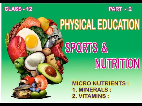 Sports and Nutrition Chapter 2 Physical Education Calss 12 CBSE - YouTube