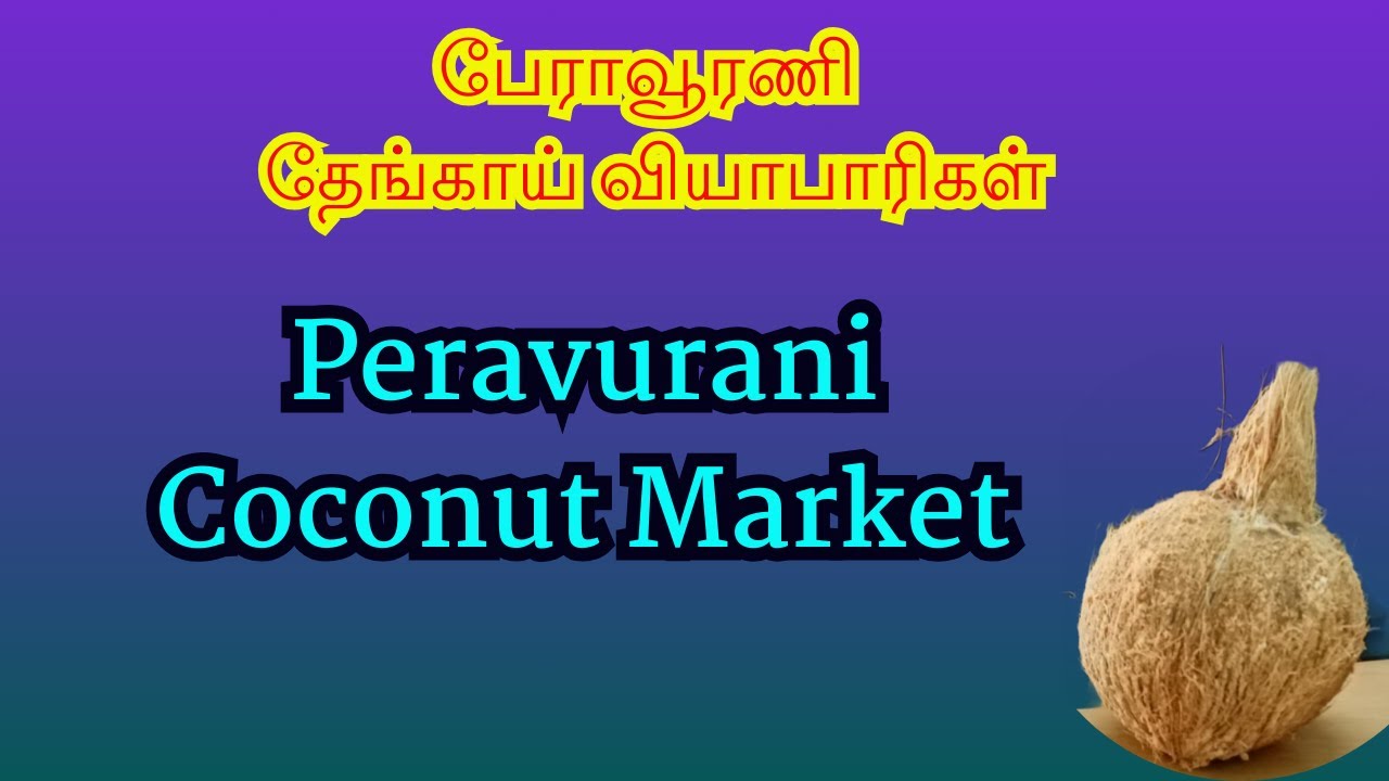 பேராவூரணி தேங்காய் வியாபாரிகள் // 04-03-2025 Coconut Rate At Peravurani ...