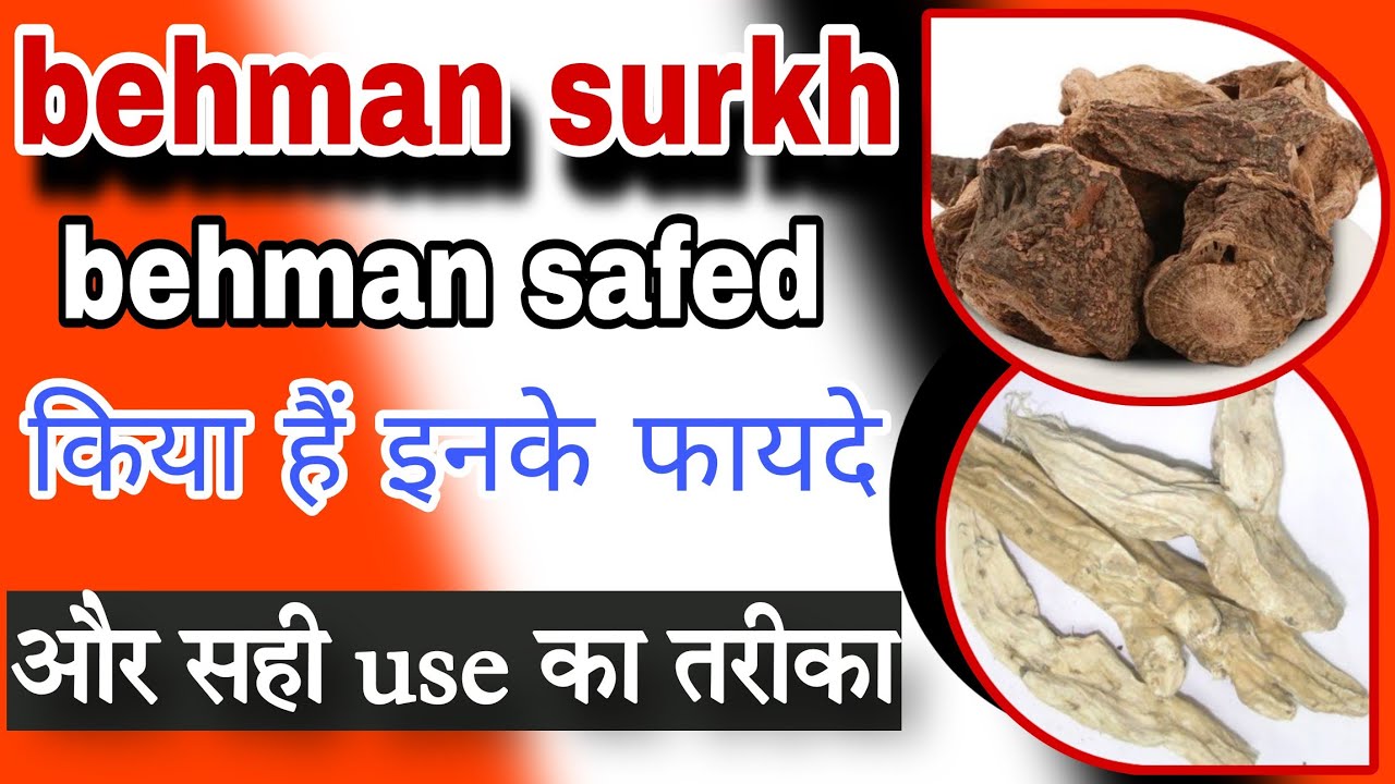 behman safed ke fayde ।behman surkh ke fayde।benefits of behman surkh ...