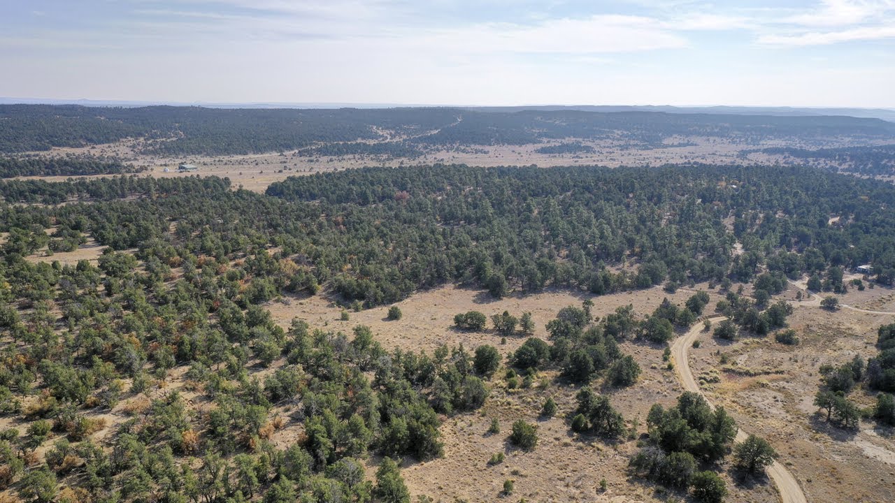 SOLD: New Mexico Land For Sale: 13+ Acres In Candy Kitchen, Cibola ...