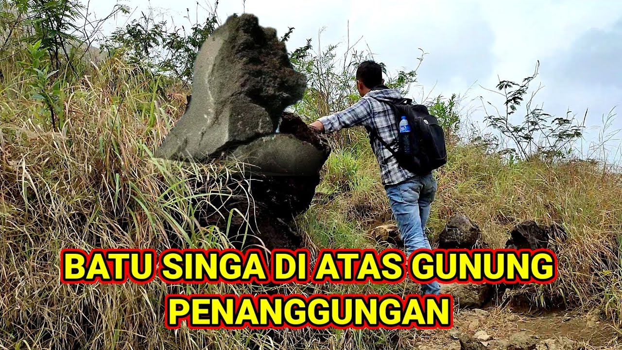 Penampakan Batu Singa Di Atas Gunung Penanggungan - YouTube