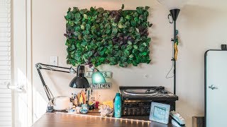 minimalist ikea wall plants