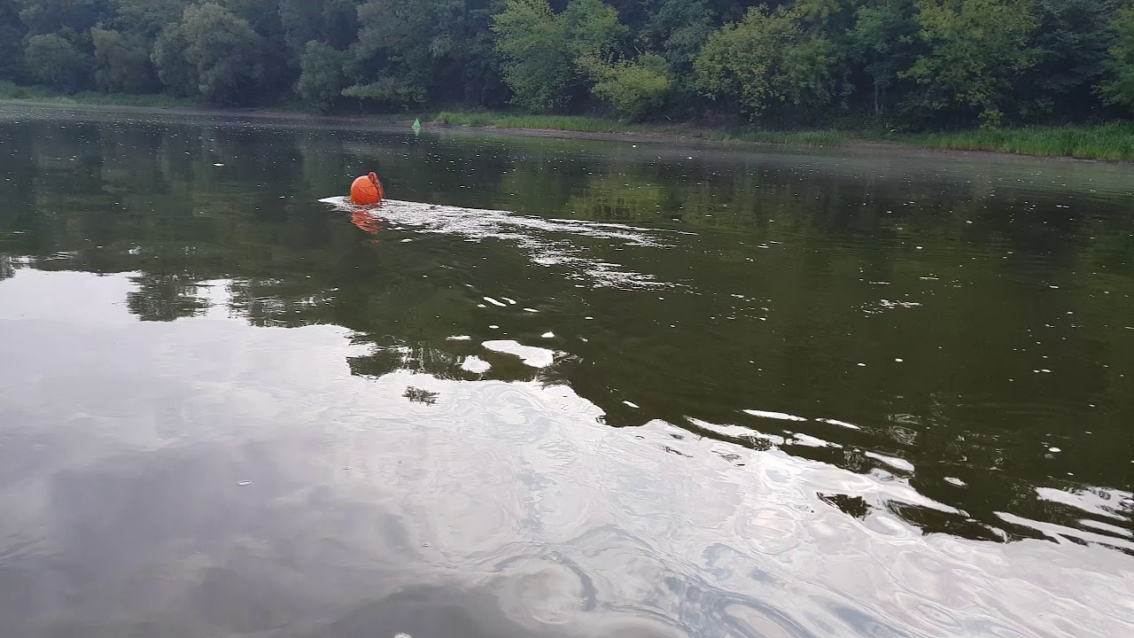 20180827 Rytinės srutos Nr 2 Vilnius - YouTube