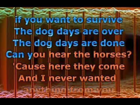 Florence + The Machine - Dog Days Are Over (Lyrics) - YouTube