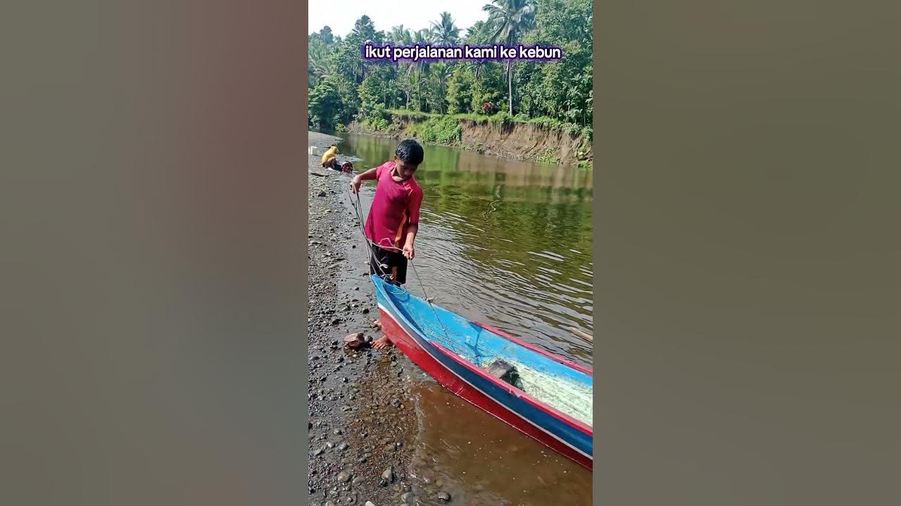 Perjalanan ke kebun menyelusuri kali pangeo - YouTube