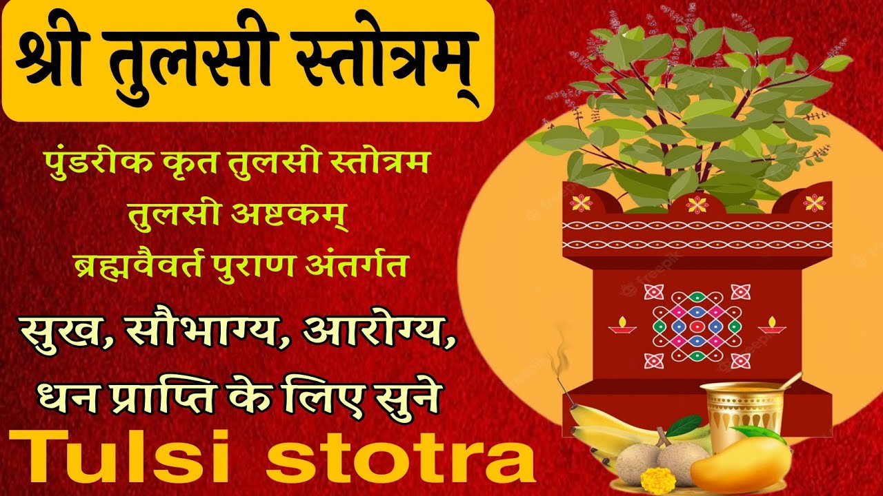 Tulsi stotra। Shri Tulsi Stotram। सुख सौभाग्य आरोग्य धन प्राप्ति के लिए सुनें Tulsi Stotra ...