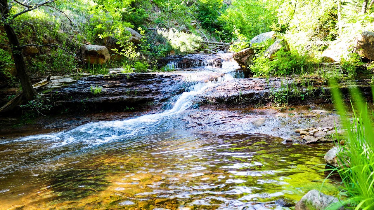 Fly Fishing One of the PRETTIEST Streams in Arizona! (Part 2!) - YouTube