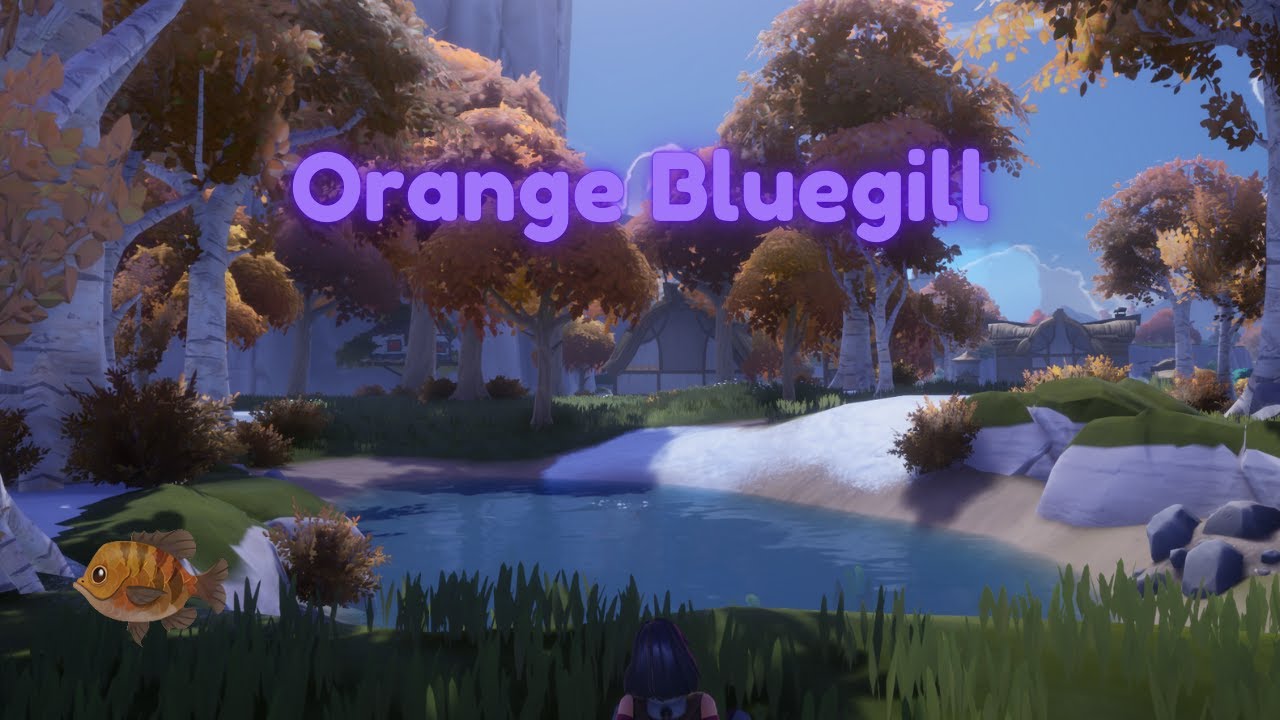 Orange Bluegill | Palia - YouTube