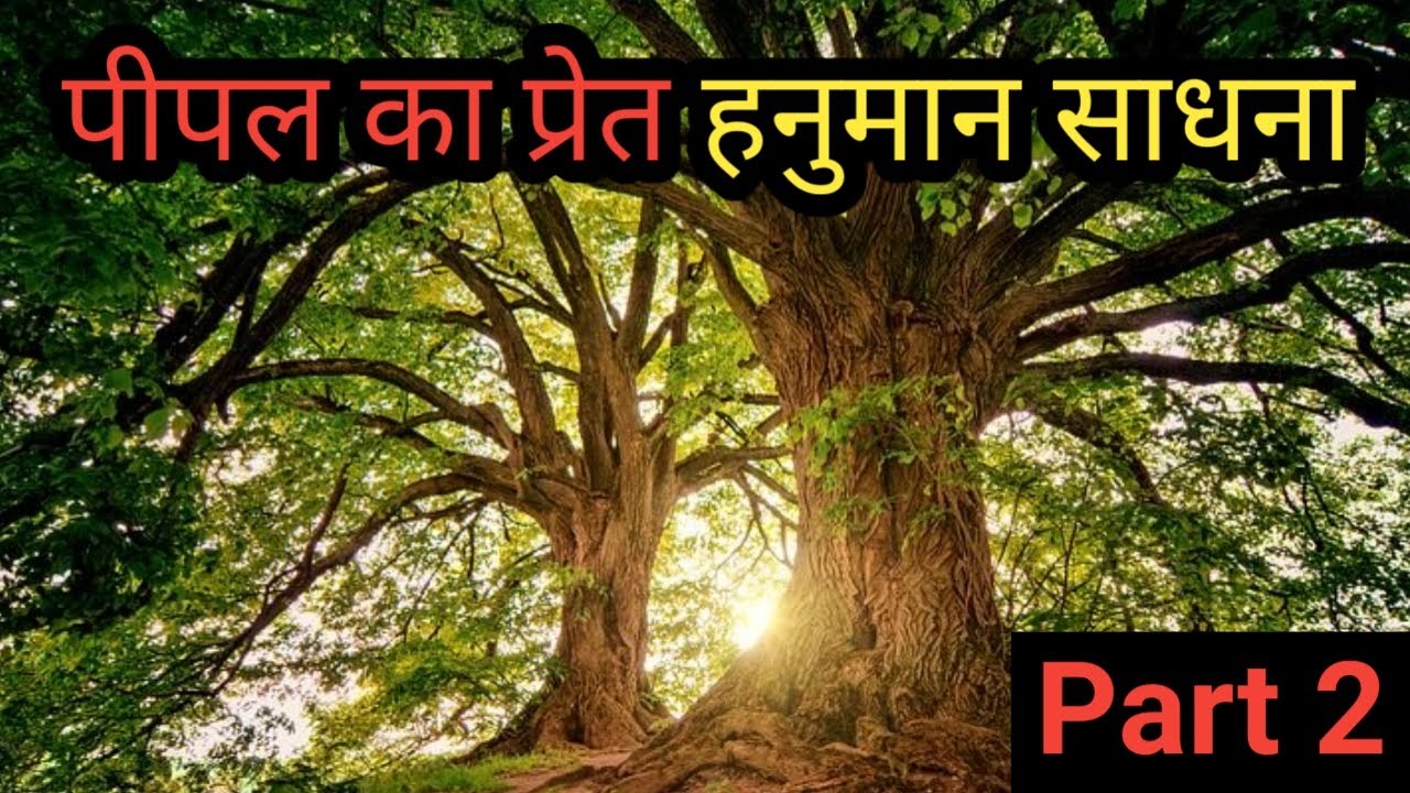 पीपल के पेड़ की साधना | pipal ka ped ki sadhana | pepal ka ped | pepal ...