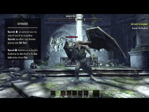 ESO is so fun (The Elder Scrolls Online) - YouTube
