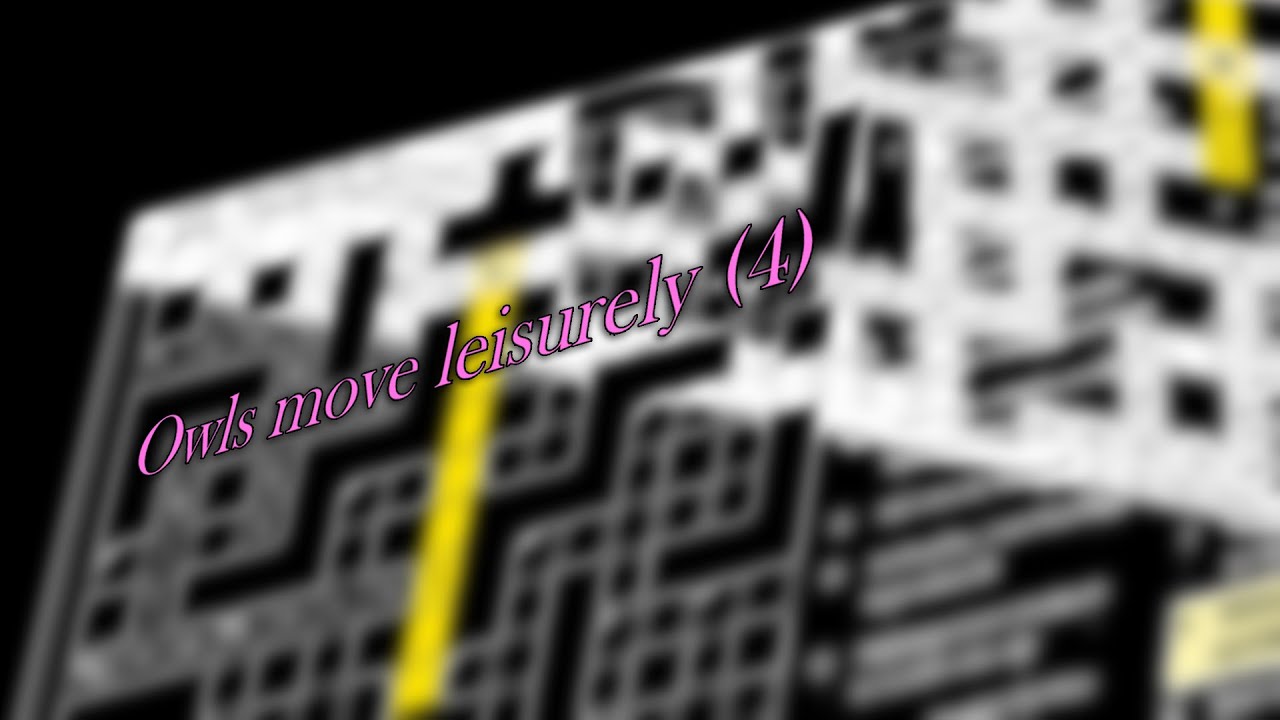 𝕆𝕨𝕝𝕤 𝕄𝕠𝕧𝕖 𝕃𝕖𝕚𝕤𝕦𝕣𝕖𝕝𝕪 (𝟜) - YouTube