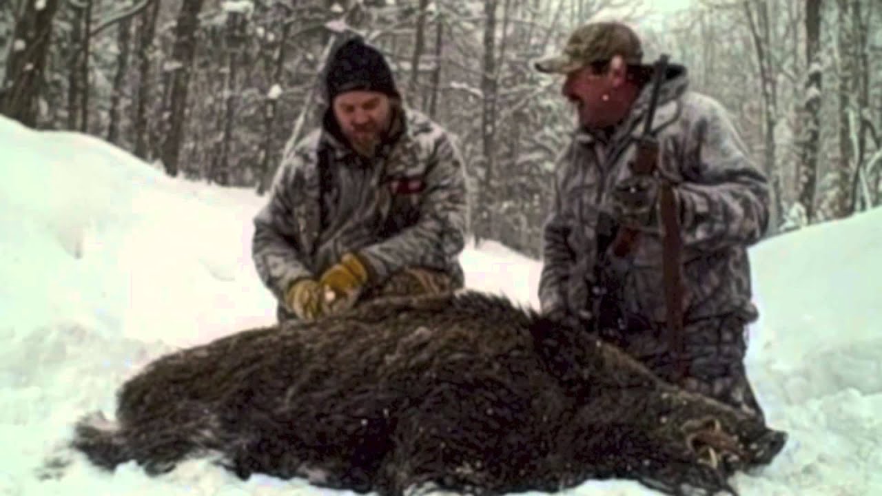 Boar Hunting Father - Son Learn How to Hunt Russian Boar - YouTube