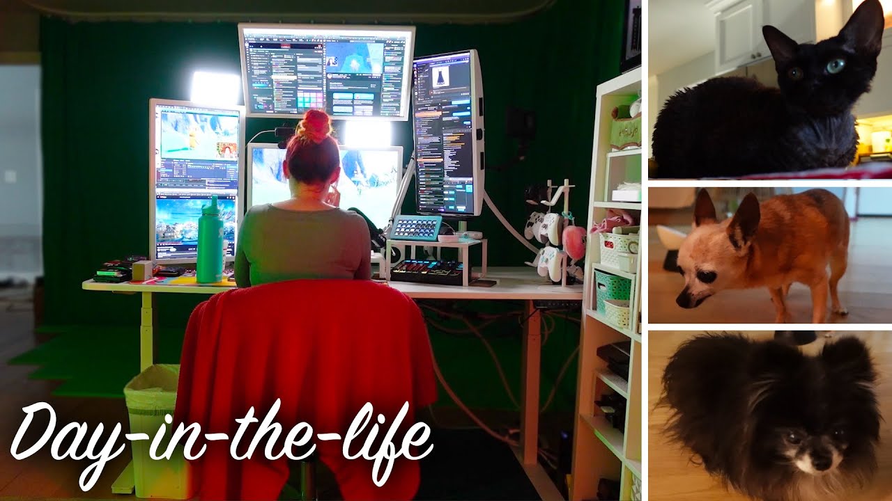 A (Realistic) Day in a Streamer's Life | Streamer Diaries - YouTube