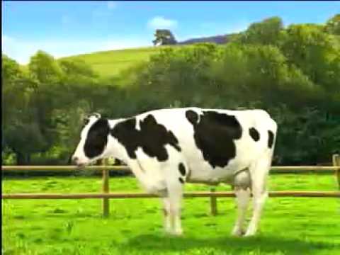 Mleko Łaciate- stara reklama z 1995 roku