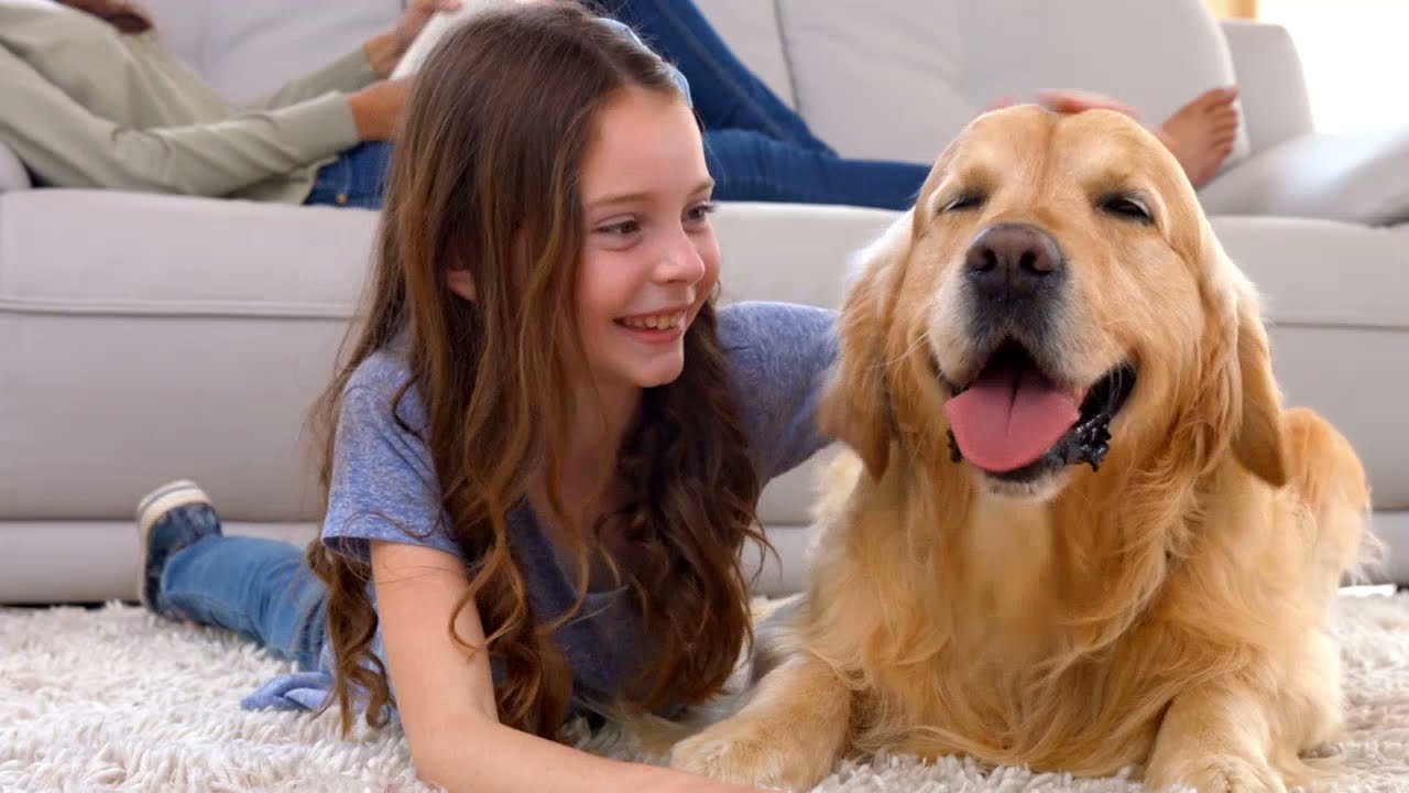 Castaic Animal Shelter adopt a dog - YouTube