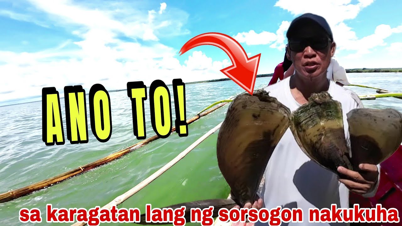 the famous Baloko exotic foods from sorsogon/Casiguran Sorsogon /Seftv ...