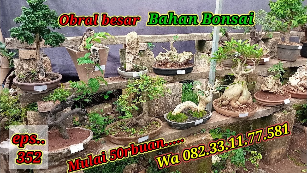 Obral besar @50k , @100k Di @Jal_Bons Wa 082.33.11.77.581 - YouTube