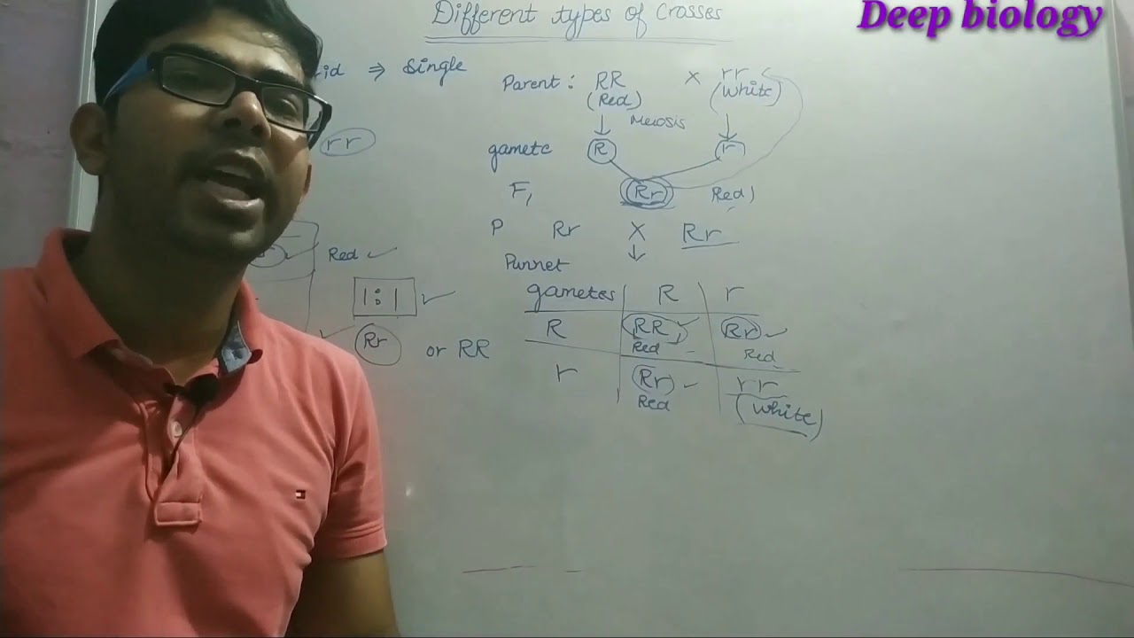 Monohybrid cross | test cross | back cross | incomplete dominance ...