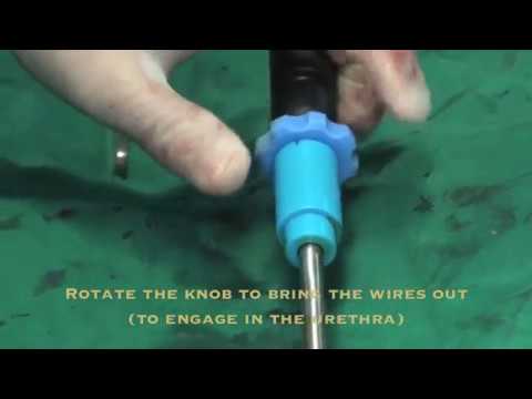 Radical Prostate Urethra Protruder-RRP - YouTube