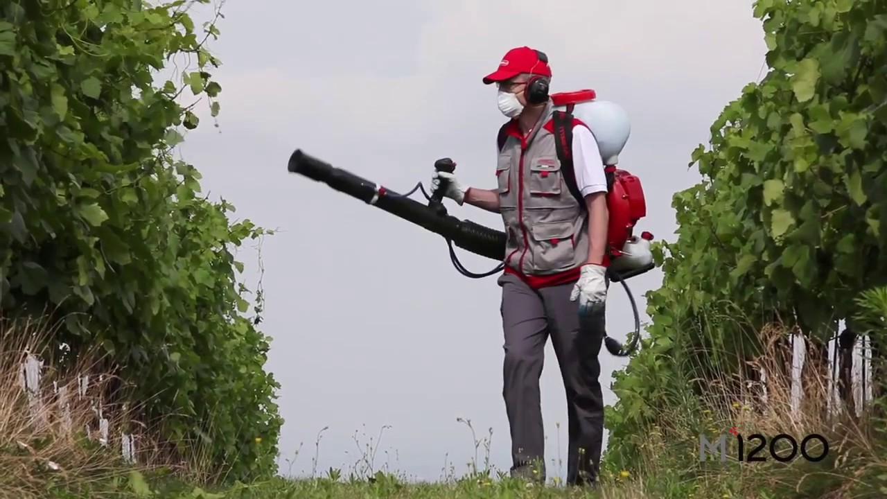 593 915501 Cifarelli Atomizzatore Mist blower M1200 ბენზო შესაწამლი ...