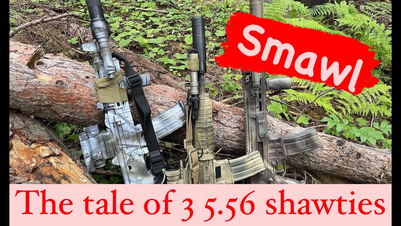 Comparing the CZ Bren 2, AR-15 and Zastava ZPAP85 AK - YouTube