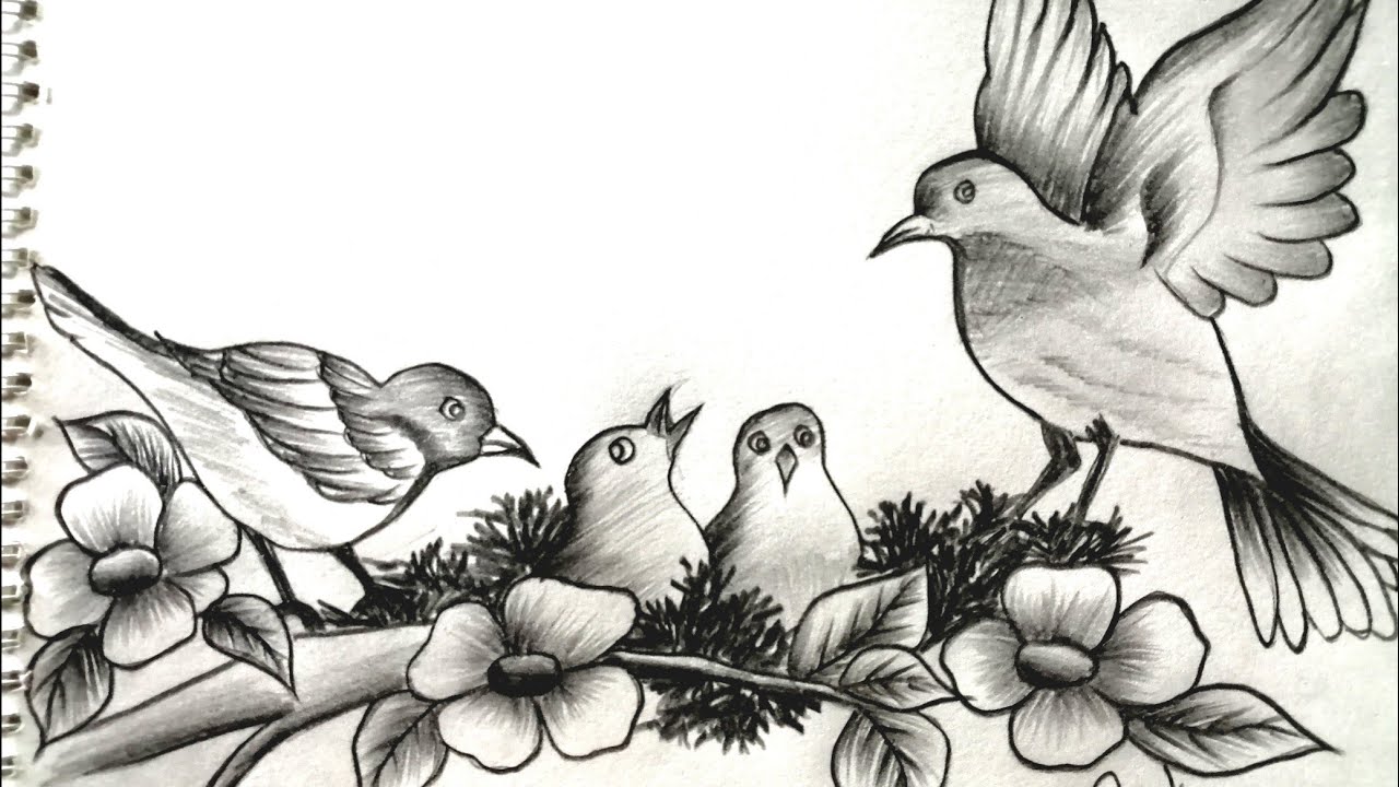 How to draw Bird family।। Bird and flowers drawing।। Bird & Nest ...