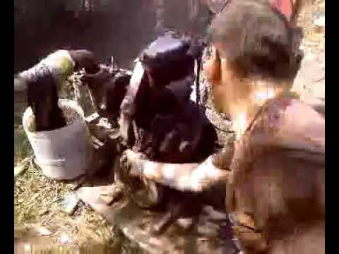 Necmettin Erbakanın icadı pancar motor