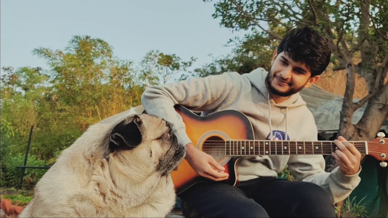Hutch Pug Song | Vodafone Dog Ad | You And I In This Beautiful World ...
