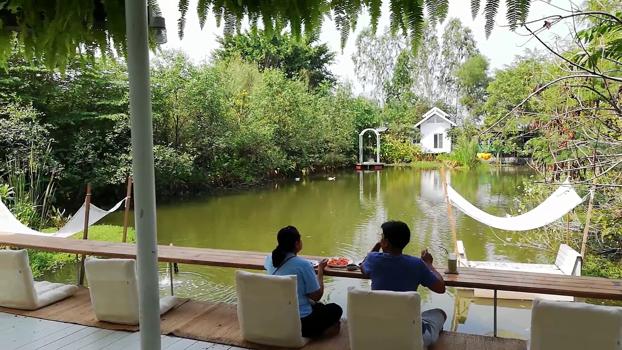 Floating Forest - YouTube