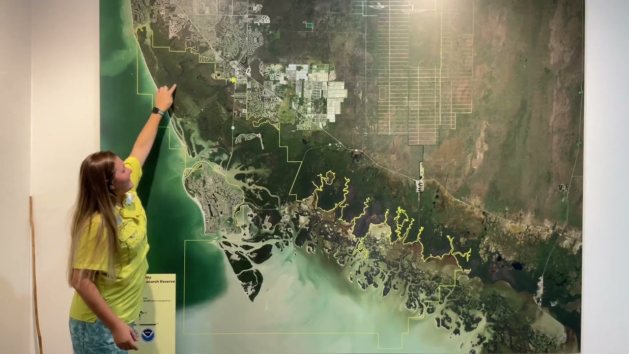 ELC Map Overview - YouTube