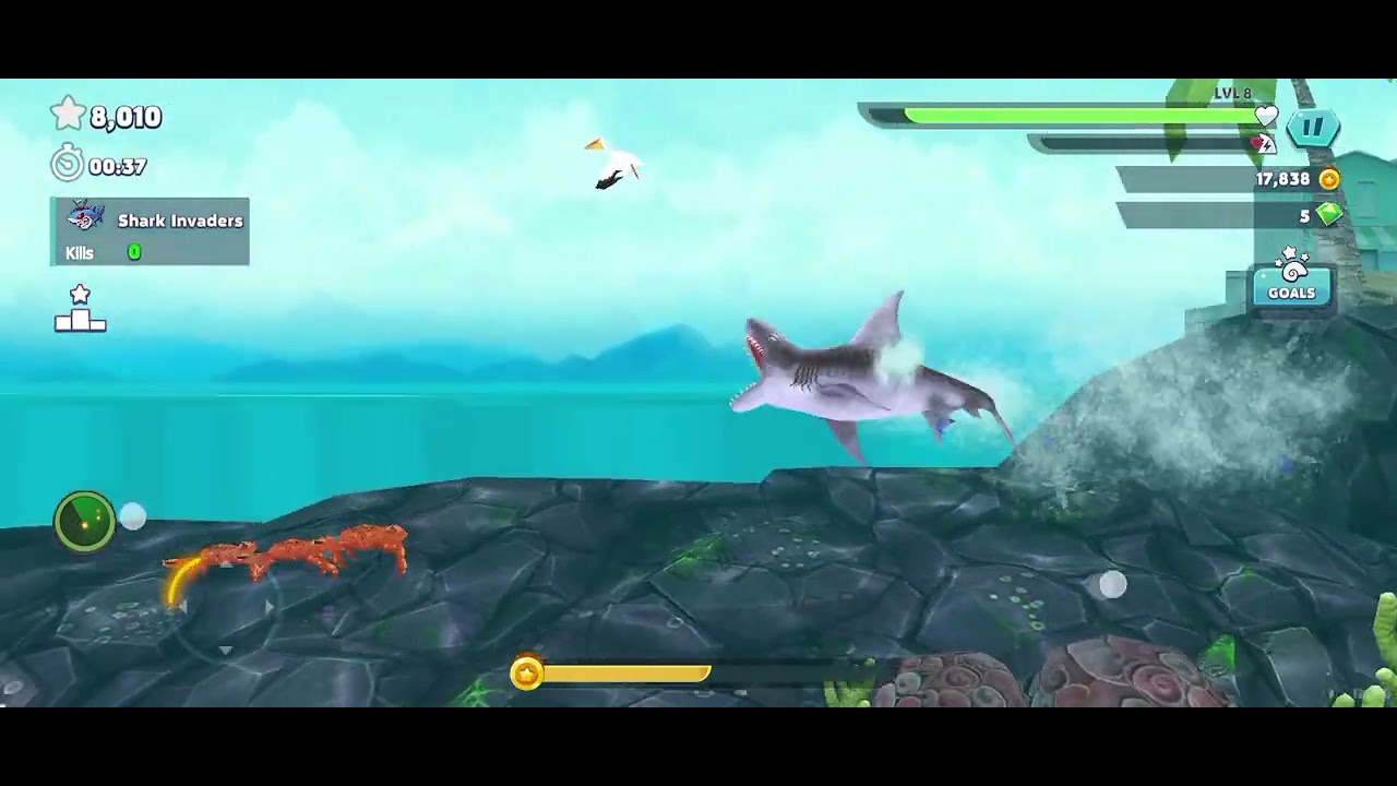 mr beast cins in shark race - YouTube