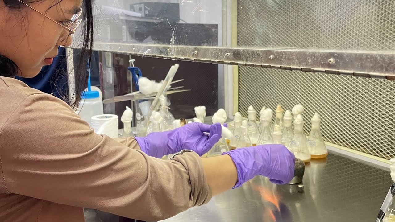 Life in the Laboratory Episode 1-|Pàrt 1|How to make Mushroom Spawn ...