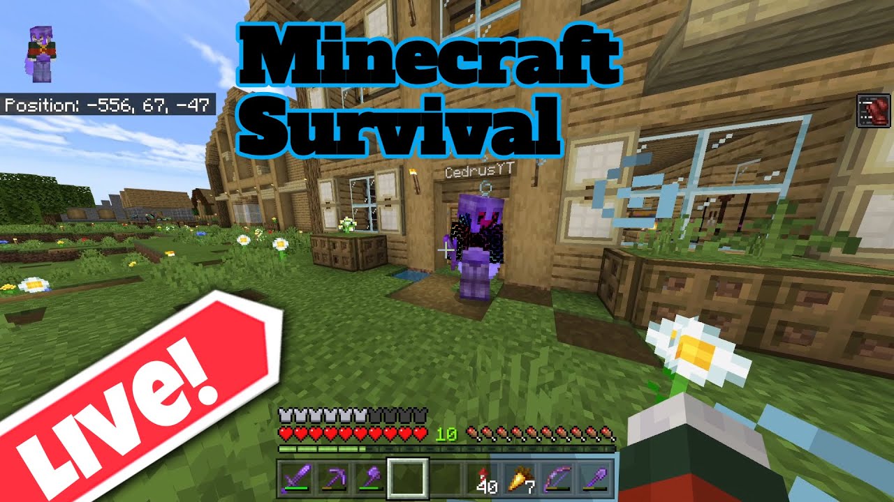 Minecraft Survival! Chill Stream - YouTube