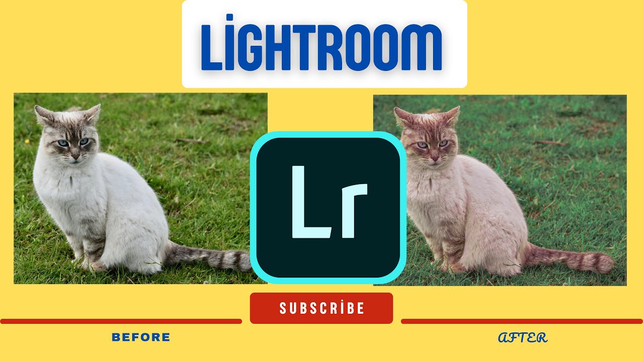 YES! I EDITED MY CAT PHOTO/ Lightroom - YouTube