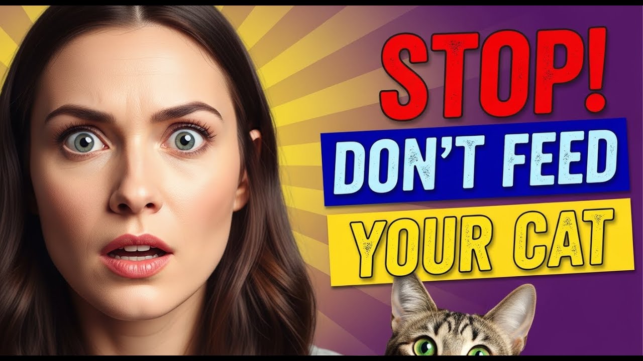 Can Cats Eat Human Food? - YouTube