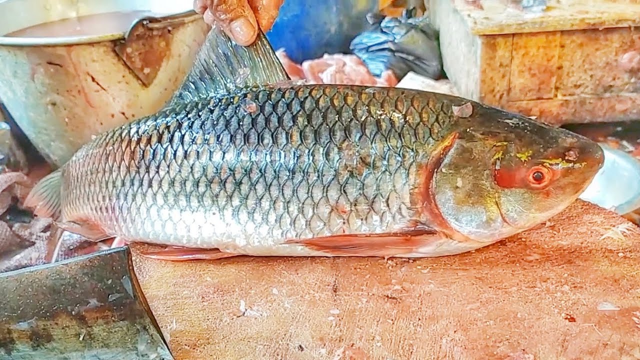 Amazing Fire Rohu Fish Cutting Skills in Fish Market | Delicious Rohu ...