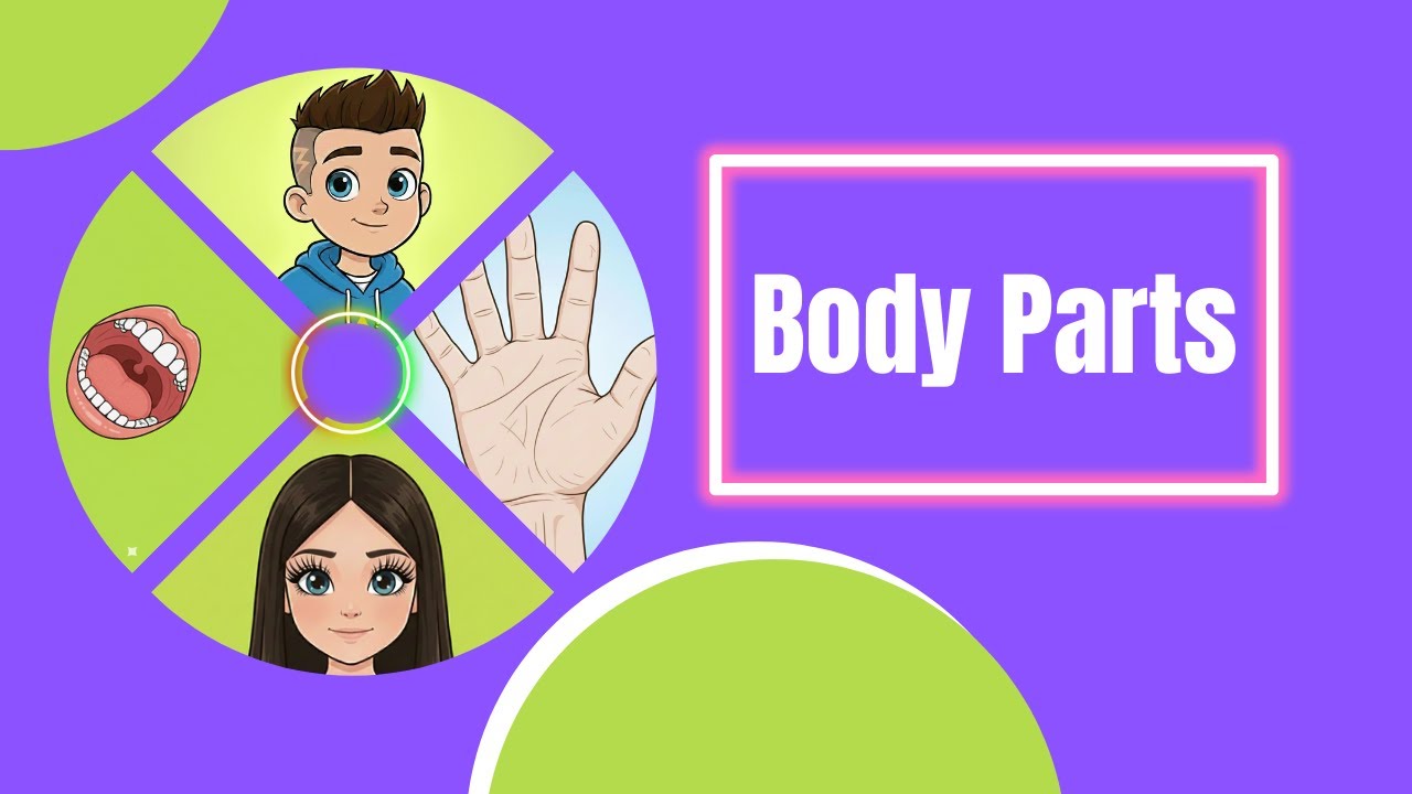 Human External Body Parts - YouTube